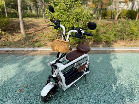 이디뚜뚜 15a 전기스쿠터 전기오토바이 전동스쿠터 전기자전거 전기바이크 라탄바구니 호암동 스포츠레저 당근 중고거래