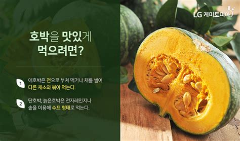 ‘복이 넝쿨째 굴러 들어오는 호박의 영양부터 재배까지~ 호박의 모든 것
