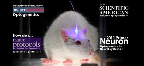 Light Science Optogenetics Science Calling