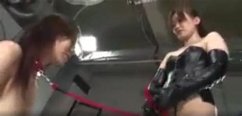 Looking For Jav Id Reply Namethatporn Com