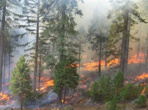 Experts Answer 8 Important Wildfire Questions Uc Davis