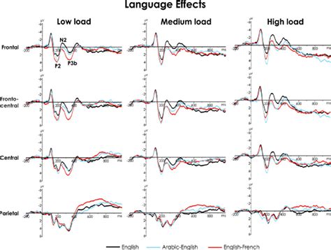 Grand Averaged Erp Waveforms During The Dms Task For Each Group At
