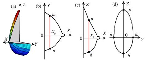 Diagram Of 3d Breast Restoration From Cc And Ml Contours A Download Scientific Diagram