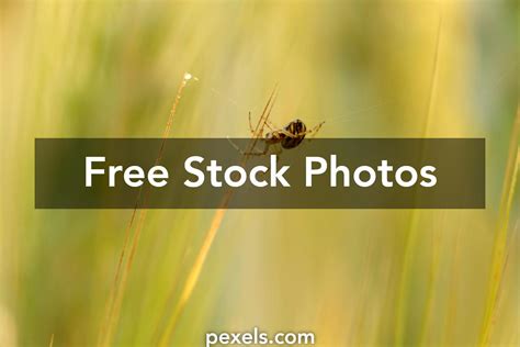 Web Developer Portfolio Background Color Photos Download The Best Free Web Developer Portfolio