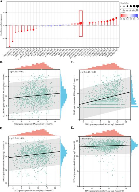 Relationship Between Six And Cancer Stem Cells A The Lollipop Plot Download Scientific