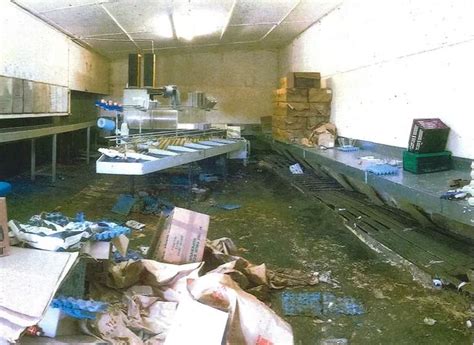 Scots Egg Firm Shut Down After 2000 Hens Left To Die On Estate With No