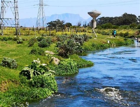 Kuils River Series Part 4 Water Stories