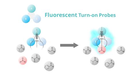Selective Fluorescent Molecular Probes For Aldehydes Innovation Hub Hk