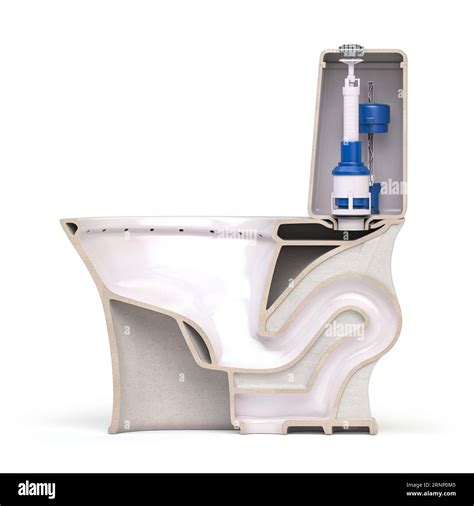 Cross Section Of Toilet Bowl Structure Of Bowl And Toilet Tank 3d