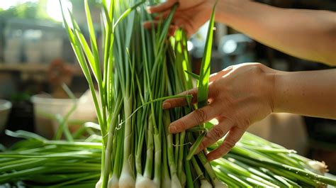 How To Grow And Care For Lemongrass Easily