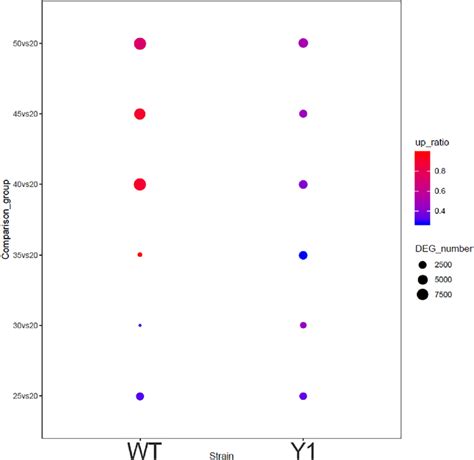 Global Overview Of The Number Of Differentially Expressed Genes DEG Download Scientific