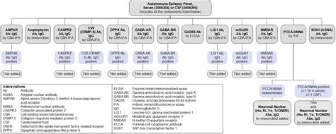 Autoimmune Epilepsy Panel Serum And Csf Test Fact Sheet