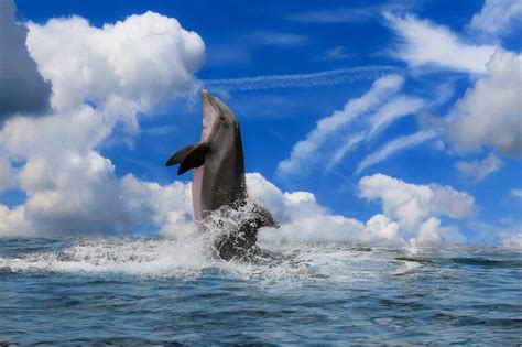 Complete Guide To Getting Started With Mysql Db In The Oracle Cloud