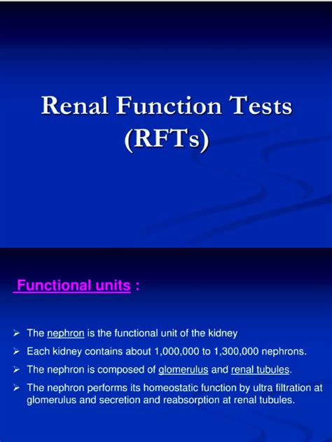 Renal Function Test Pdf