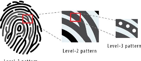 Figure 1 From Fingerprint Recognition System Using Artificial Neural Network As Feature
