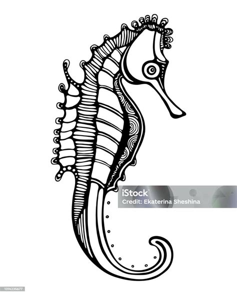 해마 벡터 일러스트레이션 흰색 배경에 격리 성인 디자인 로고 해양 테마를 위한 색칠 공부를 위한 양식제 젠 두들 해마 컬러링 북 페이지 일러스트레이션 기법에 대한 스톡 벡터