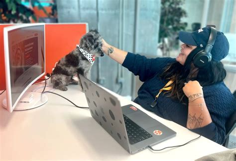 Cameron Bourdon On Linkedin Top 4 Reasons Why Employers Should Offer