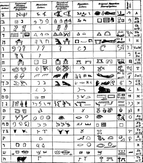 Hieroglyphics Vs Ancient Language Vintage Illustration 35146177 Vector Art At Vecteezy