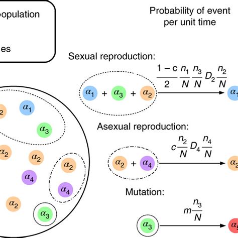 Visualization Of The Model Illustrating Three Types Of Potential Event Download Scientific