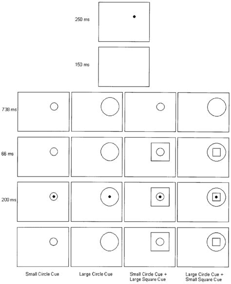 Schematic Representation Of The Sequence Of Events In Experiment 3