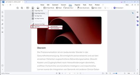How To View Two Pdfs Simultaneously With Split View Pdf