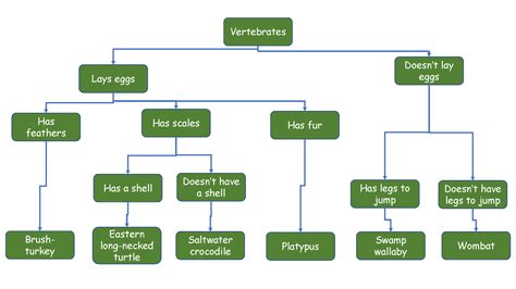 Classification At The Australian Curriculum Version 84