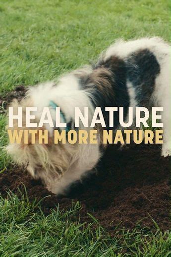 Patching Repairing Grass Seed Mixtures Pennington Artofit Patching Repairing Grass Seed Mixtures Pennington Artofit