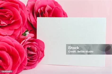 꽃 모형 축하합니다 분홍색 배경에 분홍색 빨간 장미꽃다발에 웨딩 초대 카드 텍스트 프레임 모의 공간을 가진 흰색 빈 카드 봄 축제 꽃 컨셉 기프트 카드 0명에 대한 스톡