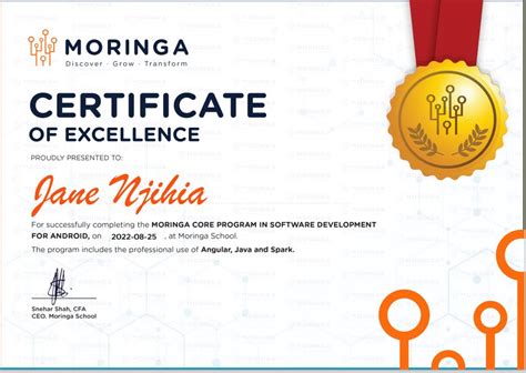 Jane Njihia On Linkedin Javadeveloper Softwareengineer Angulardeveloper