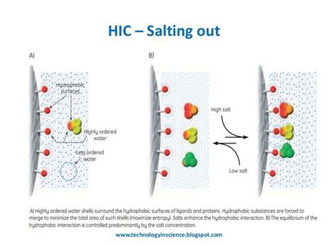 Hydrophobic Interaction Chromatography [hic] Theory And Principle