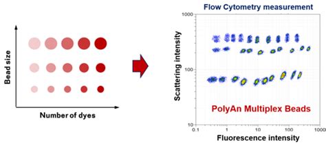 Multiplex Beads For Flow Cytometry And Image Cytometry Polyan