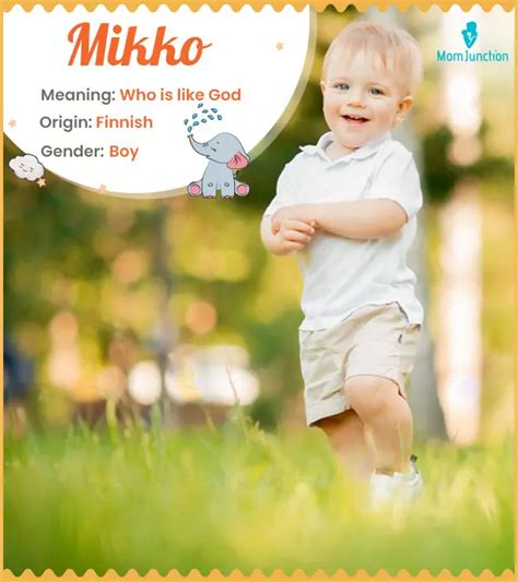 Explore Mikko Meaning Origin And Popularity