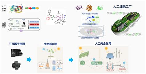 基于合成生物学的生物智造