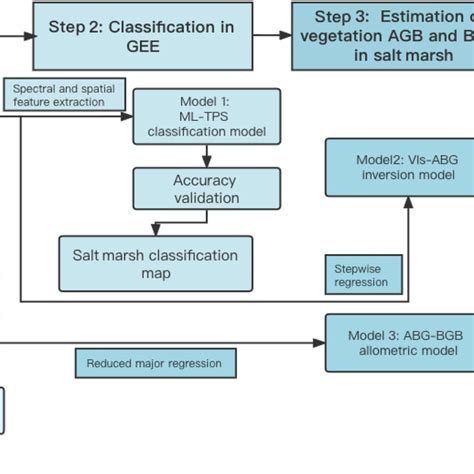 methodological framework of mapping salt marsh carbon stock download