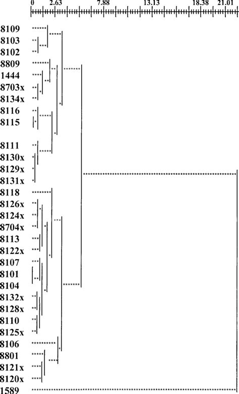 Dendrogram Showing The Relationships Of The Bacteria Isolated From