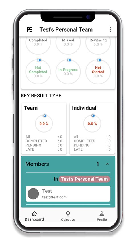 Plan And Execute Skytouch Infotech