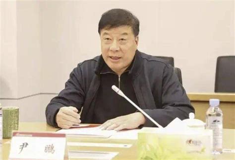 尹鹏被逮捕曾任千亿级国企一把手 山东 控股集团 违规
