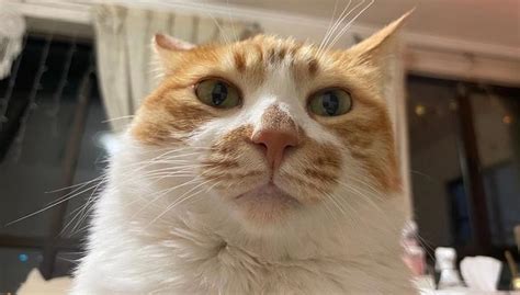 基于opentelemetry的golang全链路监控实现 知乎