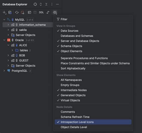 Introspection Levels Datagrip Documentation