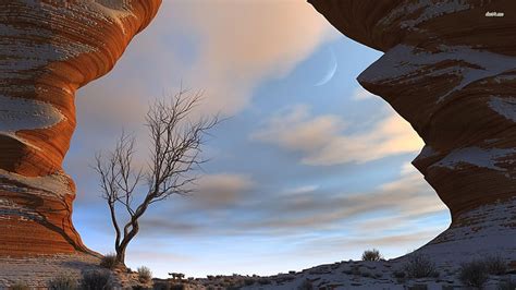 늑대 협곡 나무 모래 달 구름 태양 추상 Hd 배경 화면 Wallpaperbetter