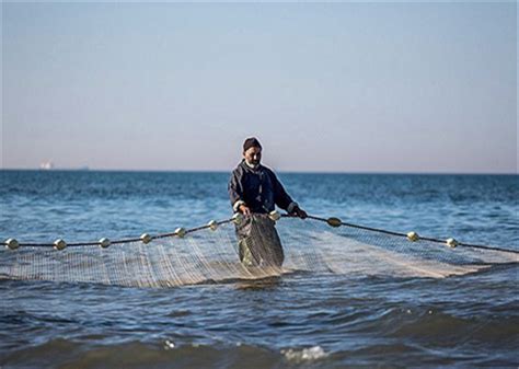 بەڕێوەبەری گشتی سامانی ئاژەڵ ڕاوەماسی قەدەغە دەکات