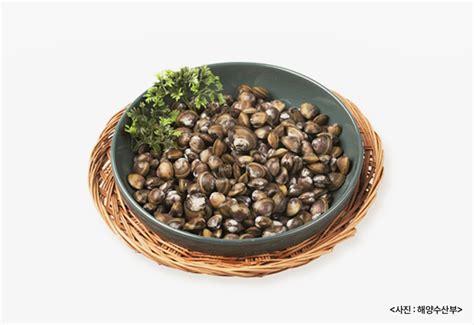 영양가 풍부한 6월 수산물 2가지 정책뉴스 뉴스 대한민국 정책브리핑