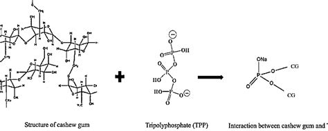 Figure 5 From The Potential Role Of Polyelectrolyte Complex Nanoparticles Based On Cashew Gum