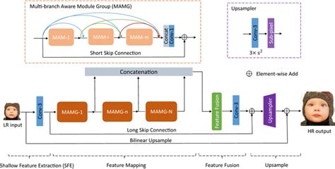 Network Architecture Of Multi Branch Aware Super Resolution Network