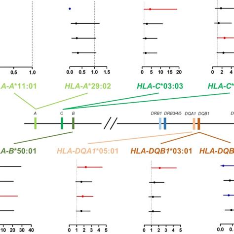 Association Analysis For Hla Drb3 Hla Drb4 And Hla Drb5 Copy Number