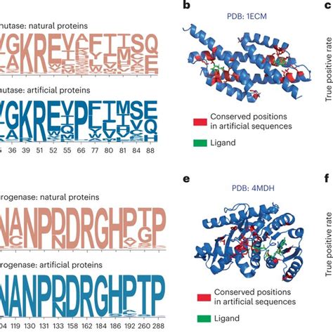 Large Language Models Generate Functional Protein Sequences Across