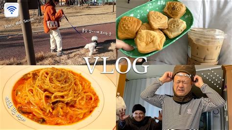 Vlog 브이로그 복돌이랑 산책갔다가 붕어빵 파티하고 집에서 뽀모도로치즈파스타 해먹는 다정이의 일상브이로그 With 공공와이파이 Youtube