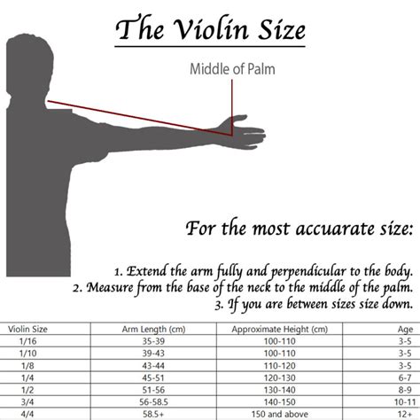 How To Choose The Right Size Violin Michalis Pantelides Violin Shop