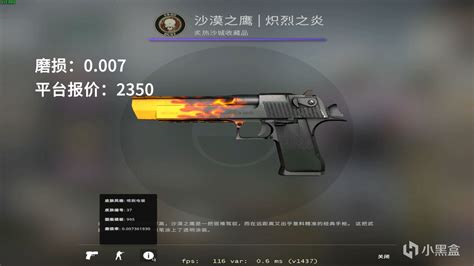 【csgo】csgo职业哥库存饰品盘点 Ropz 3楼猫