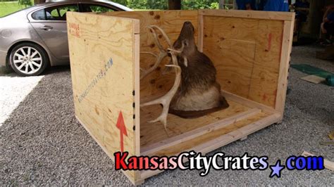 Kansas City Crates Crates For Taxidermy And WIld Game Trophies